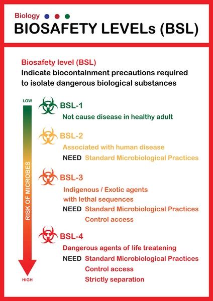 Biosafety Levels Over 62 Royalty Free Licensable Stock Vectors