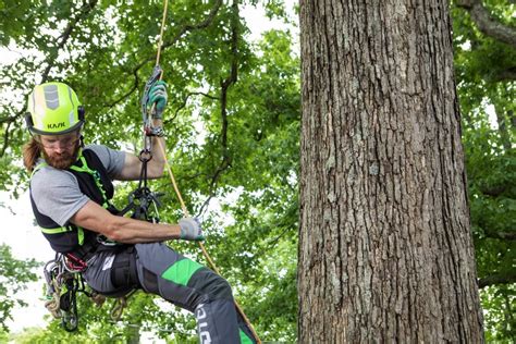 Vermeer All Roads Arborist Training For Tree Care Professionals