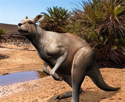 Procoptodon Jurassic Park Institute Wiki Fandom