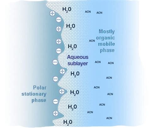 Hilic Columns A Comprehensive Guide To Hydrophilic Interaction Liquid Chromatography Zodiac