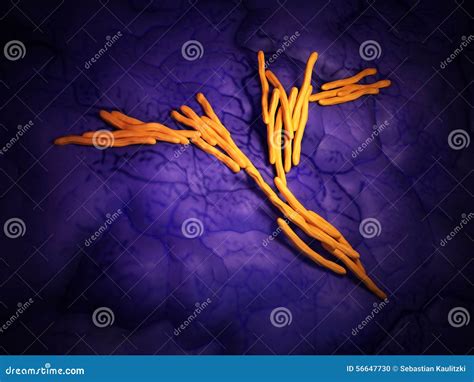 Mycobacterium Tuberculosis Icon On White Background Vector