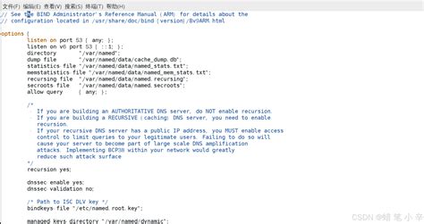 Linux系统配置dns服务器linux配置dns Csdn博客