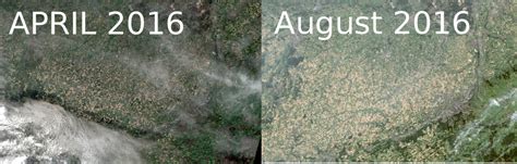 Agriculture And Sentinel 2 An Unsupervised Temporal Classification