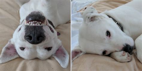 Meet The Centercode Managed Testing Services Team Centercode