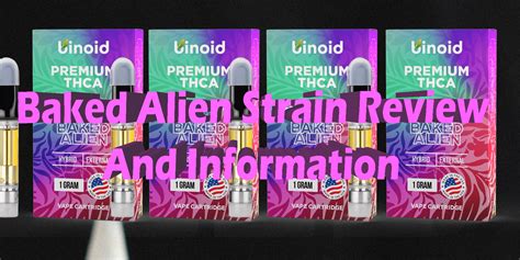 Baked Alien Strain Review And Information