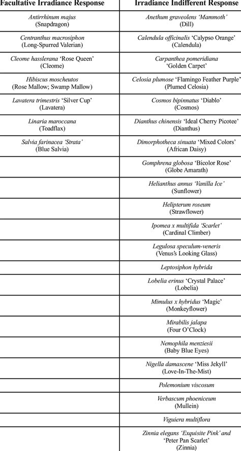 Lighting Classification Of Different Seed Propagated Bedding Plant