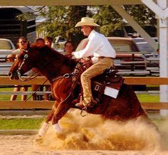8 All About Doc Bar Ideas Doc Bar Quarter Horse American Quarter Horse