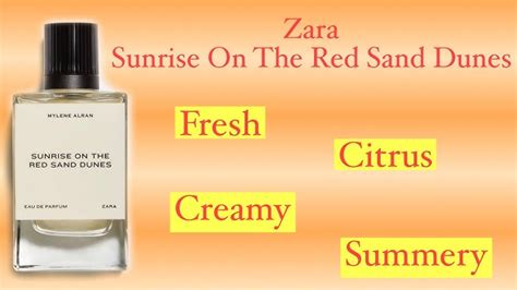 Zara Perfume Dupes Updated 2023 List 57 Off