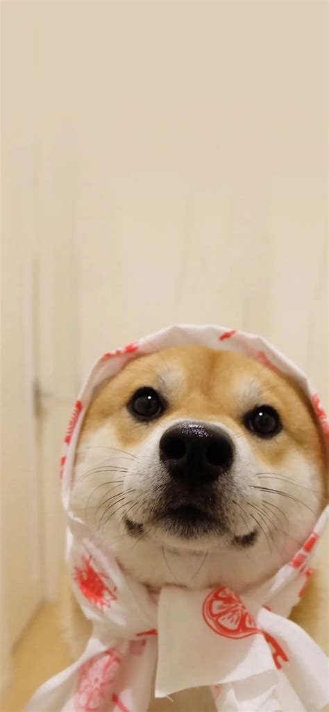 配图网 唯美图片小清新图片大全可爱生活图片