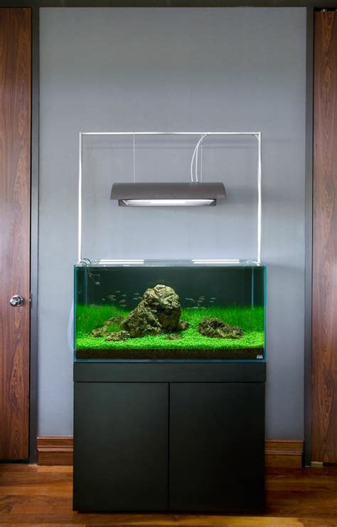 Idées Et Astuces Comment Créer Un Nano Aquarium