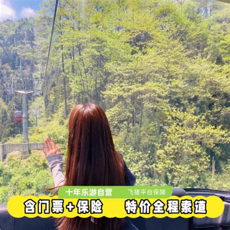 成都出发 瓦屋山一日游，自由活动＋纯玩直通车，带你轻松玩转瓦屋山！🏞️ 旅行团 淘宝好物网
