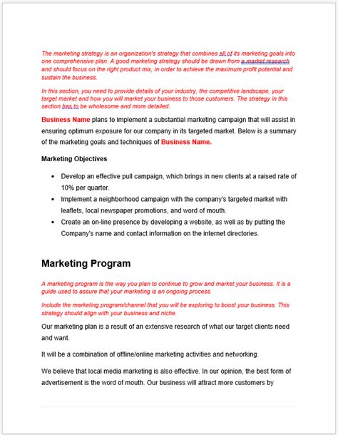 Data Analytics Consulting Company Business Plan Template Sample Page