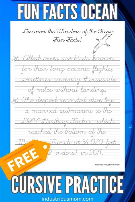 Cursive Practice For Adults And Teens Ocean Industriousmom