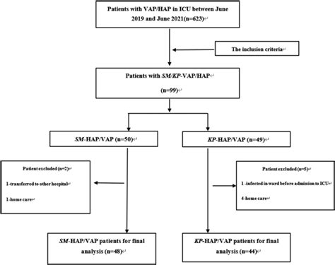 Flow Chart Of The Inclusion Of The Patients Presenting With Sm‐hapvap