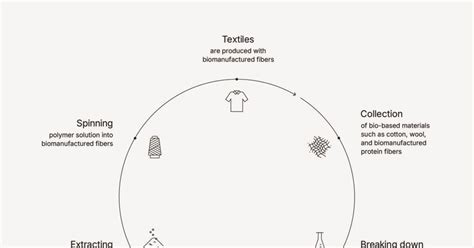 Biocircular Materials Alliance Welcomes New Partners And Publishes Its