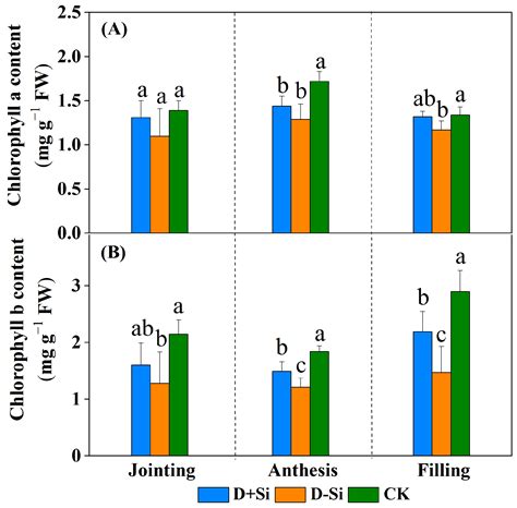Plants Free Full Text The Effects Of Foliar Supplementation Of