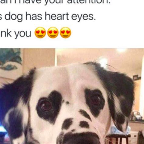 Melissa Cotter Brandman University Irvine School Of Education