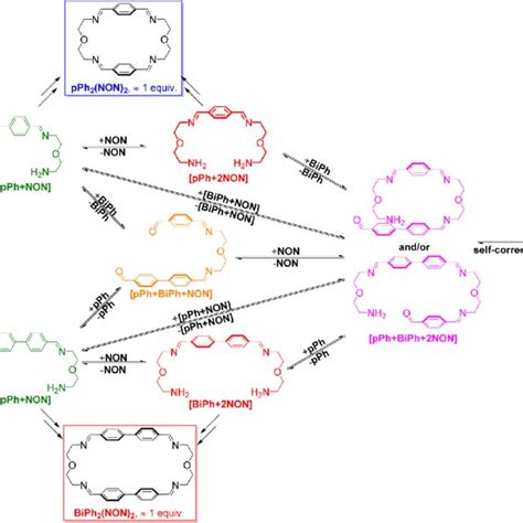 Scheme 4 Self Correction And Dissociation Processes Showing The Download Scientific Diagram
