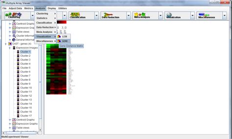 分生資料庫 microarray分析軟體 multiple experiment viewer mev 4 8 1
