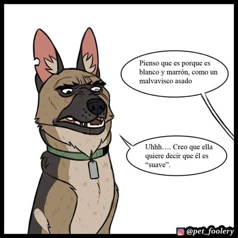 Large Gathering Of Recent Pixie And Brutus Comics By Ben Hed Artofit