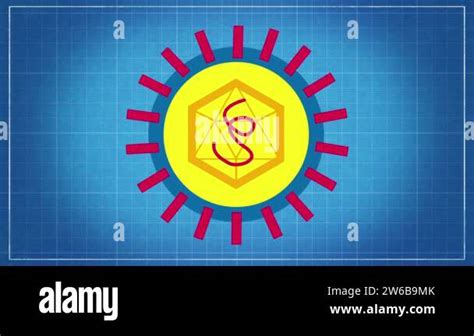 Virus Classification Naming Viruses And Placing Them Into A Taxonomic