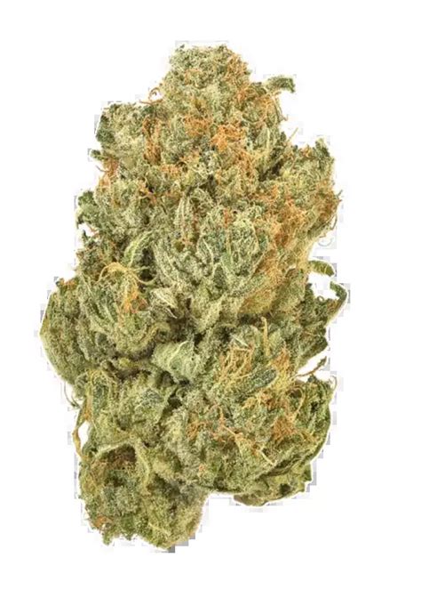 Illuminati Og Cannabis Strain Information Growdiaries