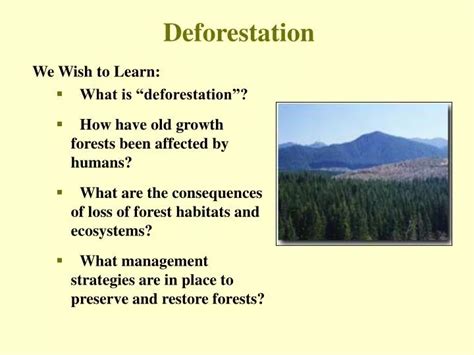 Ppt Deforestation Powerpoint Presentation Free Download Id 5400771