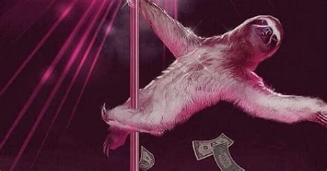 Sluth Album On Imgur