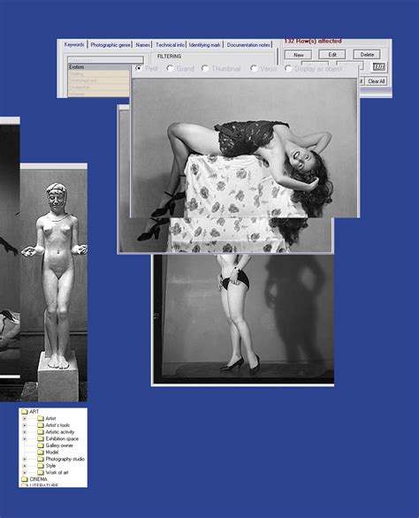 Sexndatabase A Corporeal Taxonomy Membrana