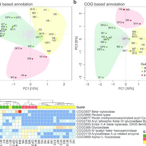 Metabolic Guilds Cluster Together Based On Broad Kegg And Cog Orthology