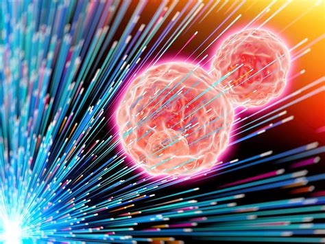 Terahertz Astronomy
