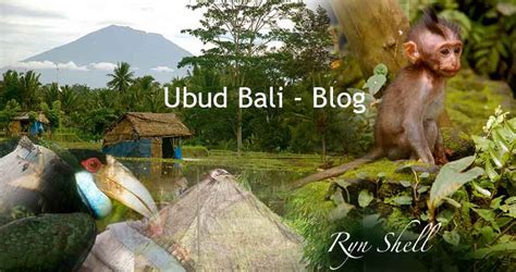 Kathryn Kathryn Shell Twitter