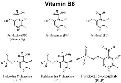 Vitamin B6 Lewis Structure At Claire Dalrymple Blog