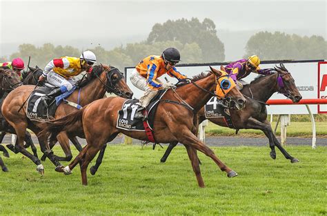 Te Akau Racing Take Home Wingatui Feature New Zealand Thoroughbred