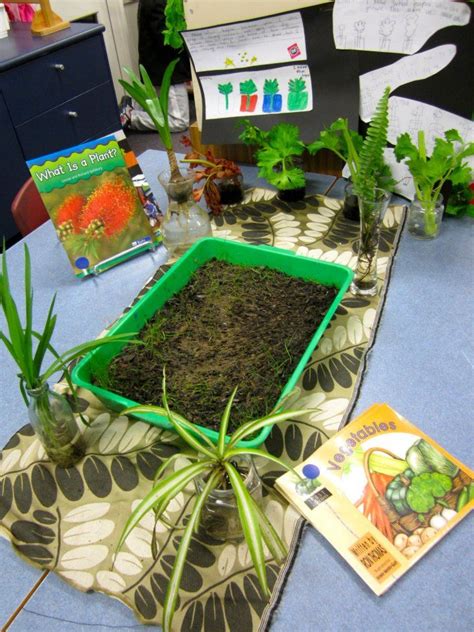 Science Table For Planting Ideas