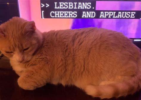 This Is Toby Toby Is A Cat He Lives With His Human Artist And Supports Lesbians Scrolller