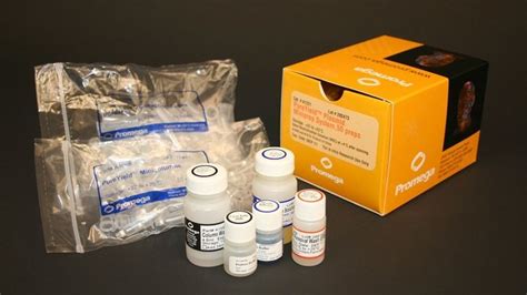 Promega Pureyield Plasmid Miniprep System Buy Online Promega