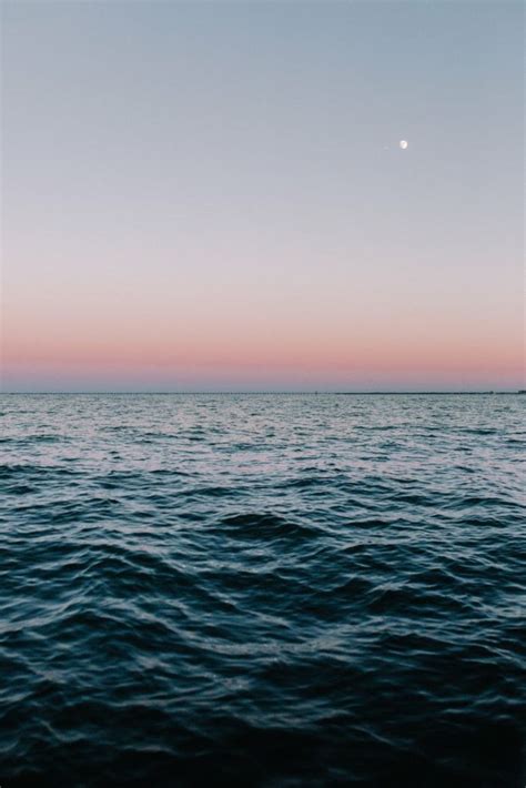 Fondo Del Mar Aesthetic Explorando La Belleza Del Océano Dedaku