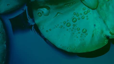 Elemento éter En El Yoga Conexión Y Expansión Yoga