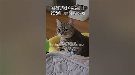 입벌구의 식단일기 56편250310 김치볶음밥 포케 일상 브이로그 자취러 고양이 요리로그 자취요리 집밥 식단일기 Youtube