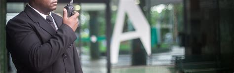 Lead Element Security At Rafael Gilliam Blog