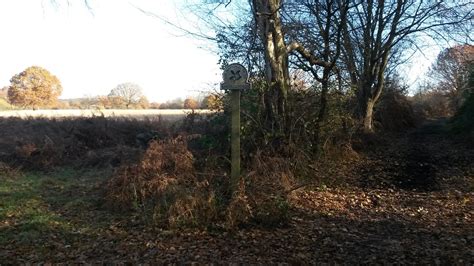 Cycling Via Bookham Common To Polesden Lacey