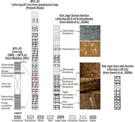 Correlation Of Surface Outcrop Subsurface Core And Logs Based Download Scientific Diagram