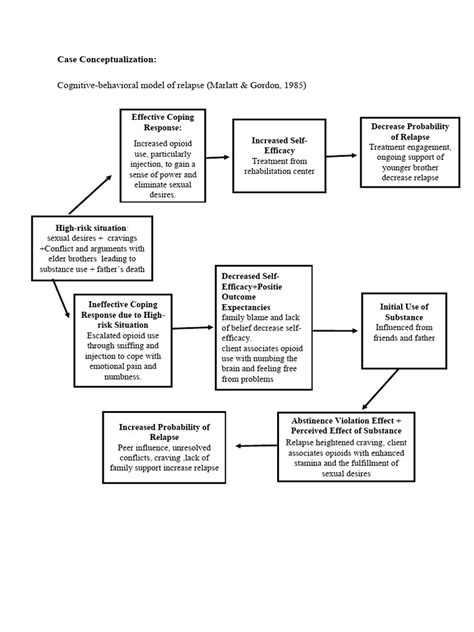 Case Conceptualization Drug Pdf Relapse Causes Of Death