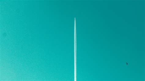 Bird And Bird Alessandro Sciarra