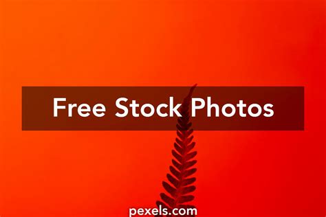 Watermark Background Photos Download The Best Free Watermark