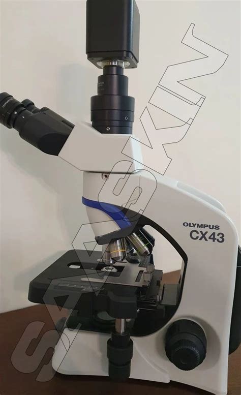 Olympus Laboratory Microscope In Chennai Latest Price Dealers