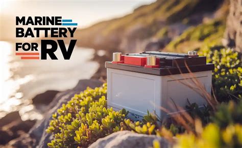 Best Battery For Ecobee Sensor Long Lasting And Reliable Poweruptips