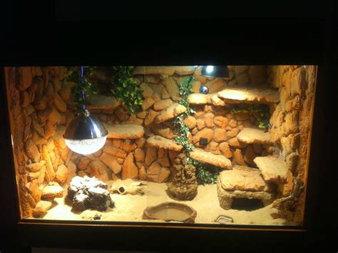 My Homemade Lizard Landscape 2 Weeks Work Album On Imgur