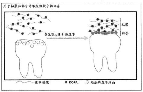 Polyphenolspeg Based Hydrogel System For Dental Varnish Eureka Patsnap
